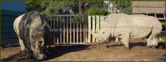 Zoologico De Palermo Horarios